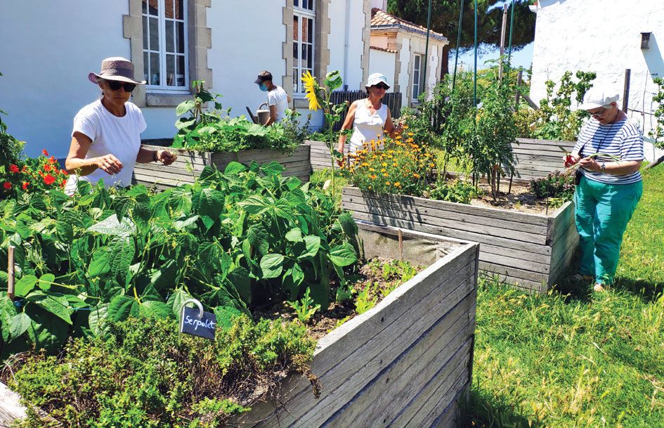 Potager solidaire - Noirmoutier-en-l'Île (85)